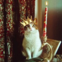 BudgetQueen – 100 ways to live like a Queen on a budget